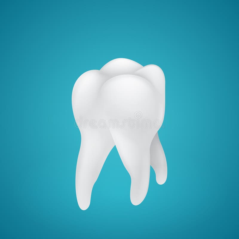 Healthy human teeth stock illustration. Illustration of freshness ...