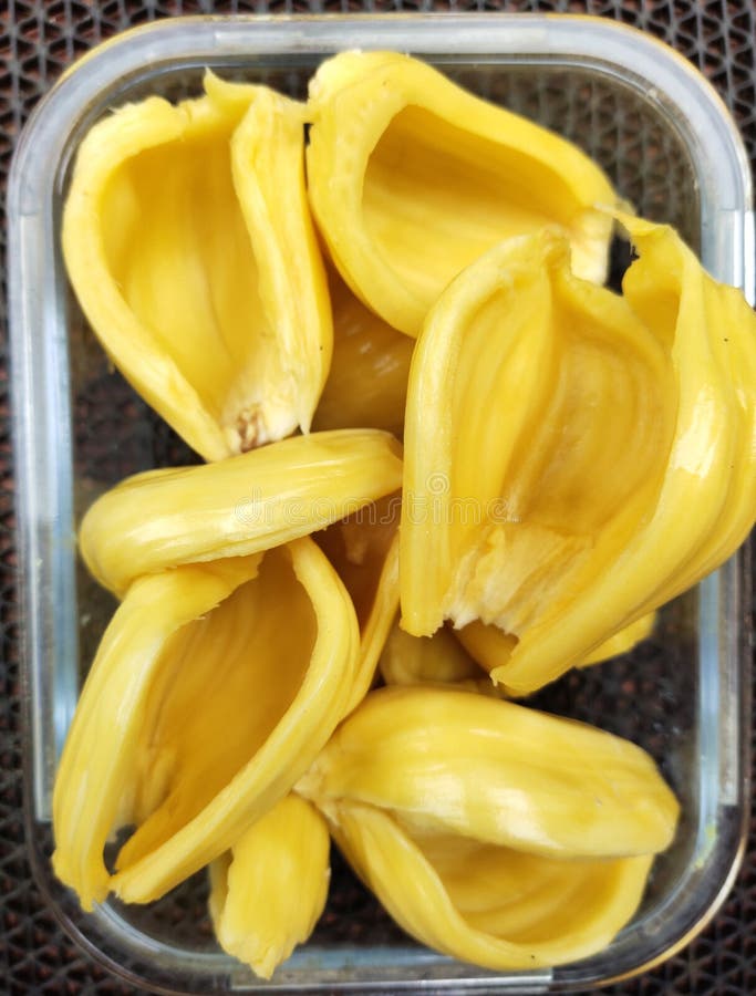 Healthy Jack Fruit Natural Nutritious Indian Kerala Stock Photo - Image ...