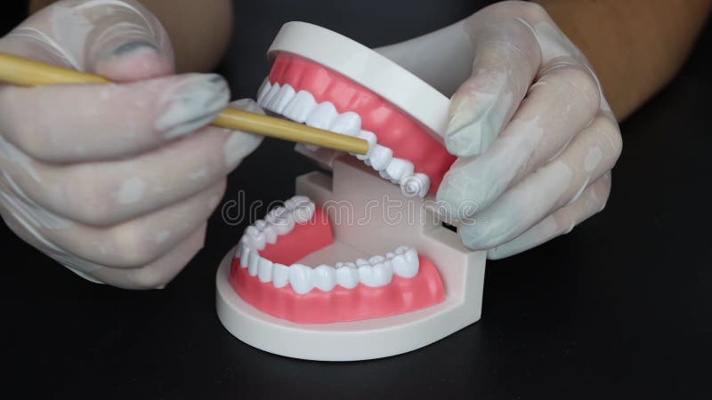 Healthy Jaw - Correct Opening and Closing of the Jaw. Stock Video ...