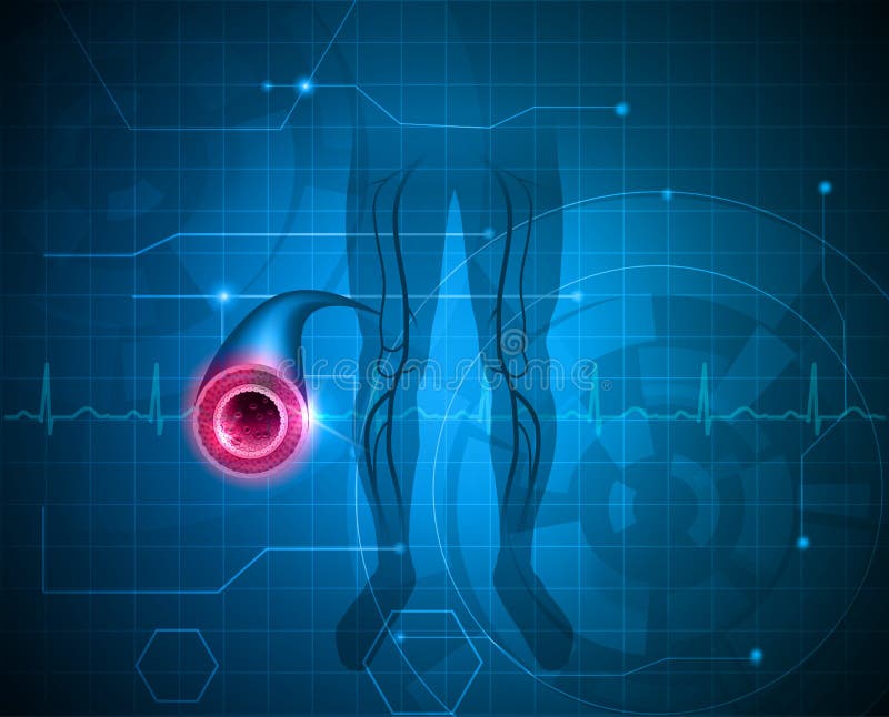 Healthy Leg Artery Background Stock Vector - Illustration of limb ...