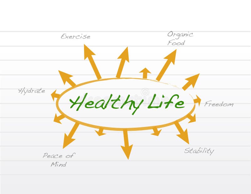 Diagram of Healthy Life Cycle Stock Illustration - Illustration of ...