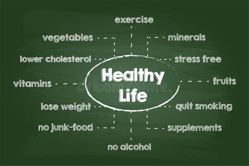 Healthy Lifestyle Chart stock vector. Illustration of diagram - 44623760