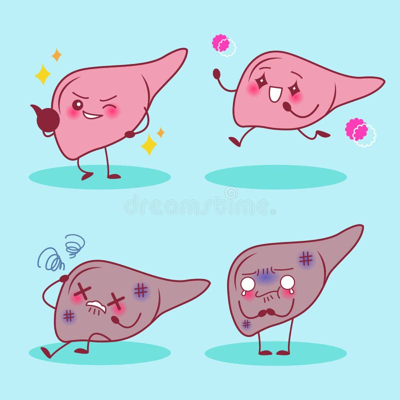 Healthy Liver and Sick Liver Stock Vector - Illustration of cirrhosis ...
