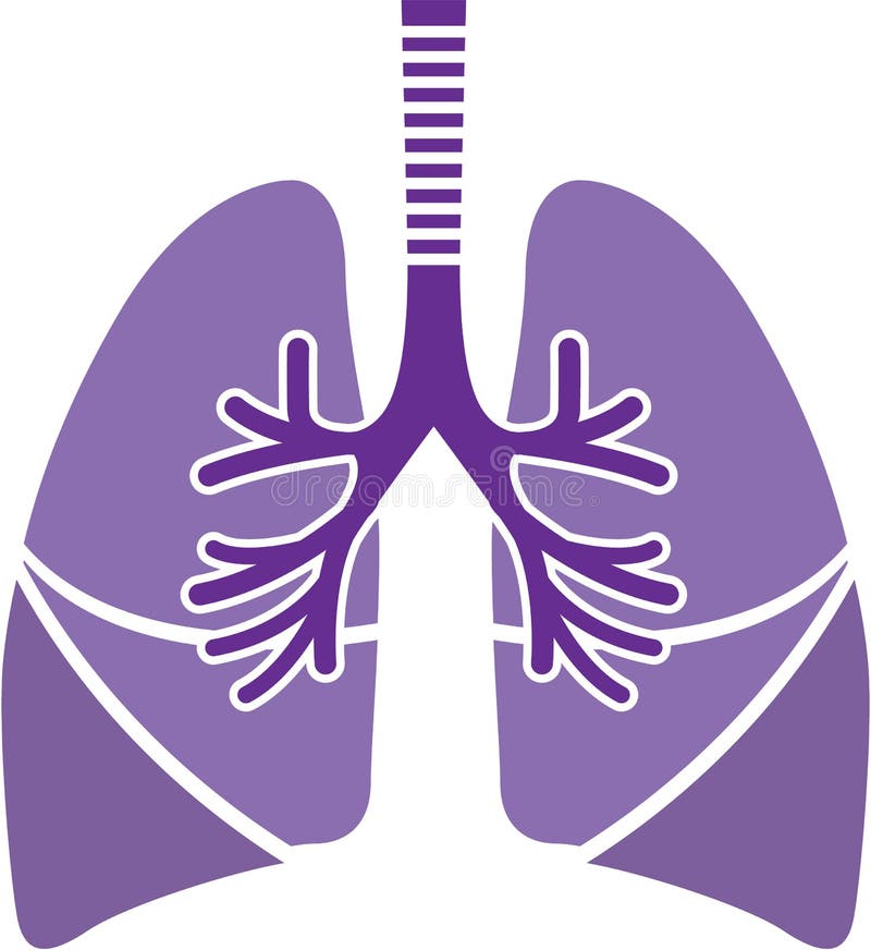 Healthy Lungs stock vector. Image of illustration, biology - 41518584