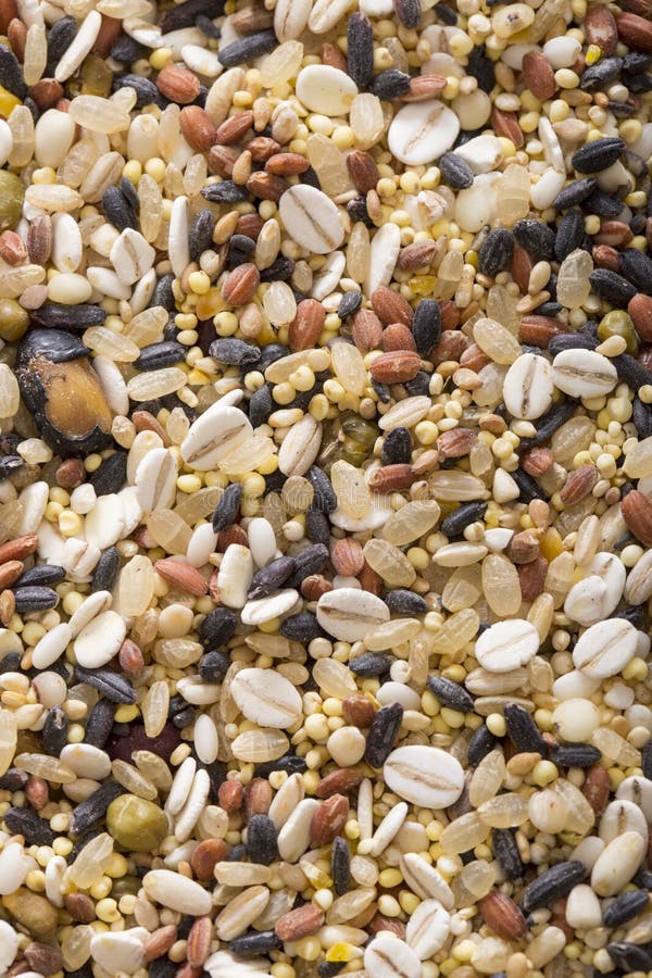 Healthy millet rice stock image. Image of japanese, brown - 166876895