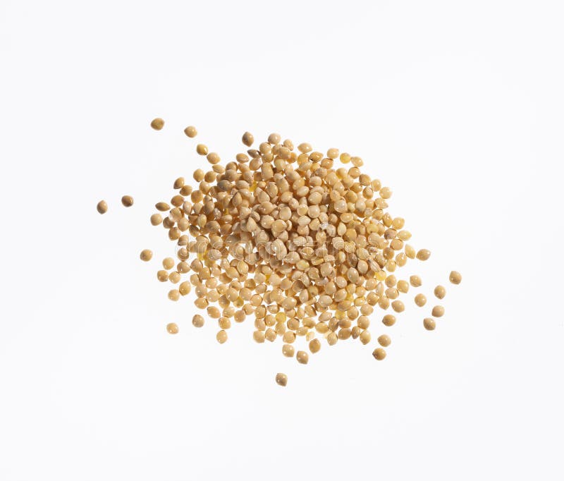 Healthy Millet Seeds with Space for Text - Healthy Cereal Stock Photo ...