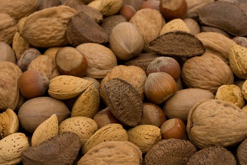 Healthy mixed nuts stock image. Image of shell, hazelnut - 20123279