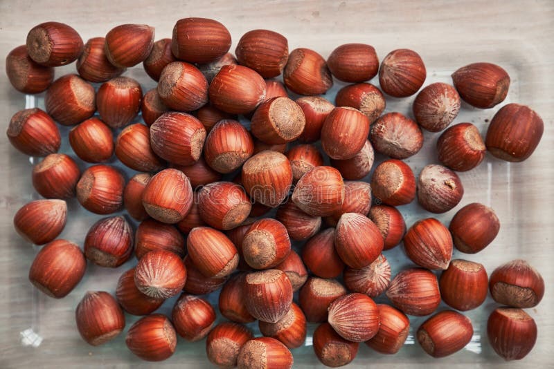 Healthy natural hazelnuts stock photo. Image of nutrition - 231195662
