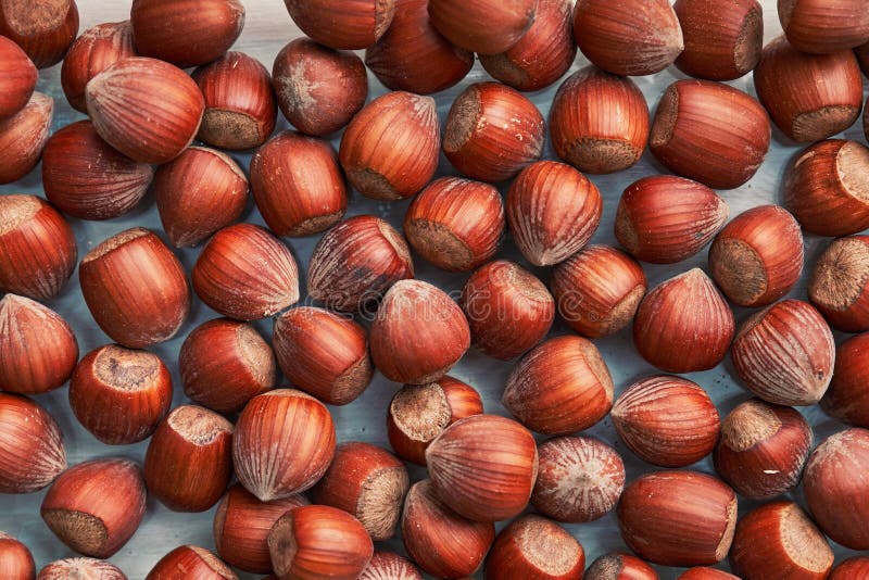 Healthy natural hazelnuts stock image. Image of nutshell - 233465617