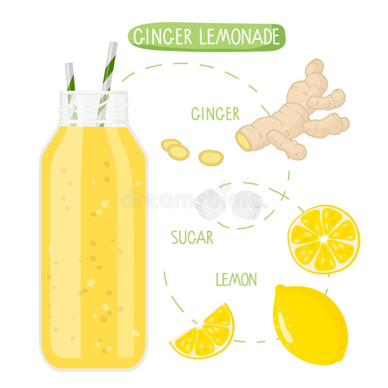 Ginger Lemonade Stock Illustrations 421 Ginger Lemonade Stock