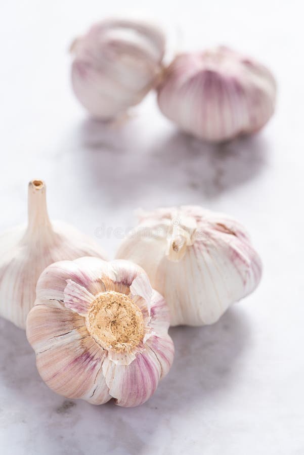 Healthy and Nutritious White Spicy Garlic Fruit Stock Photo - Image of ...
