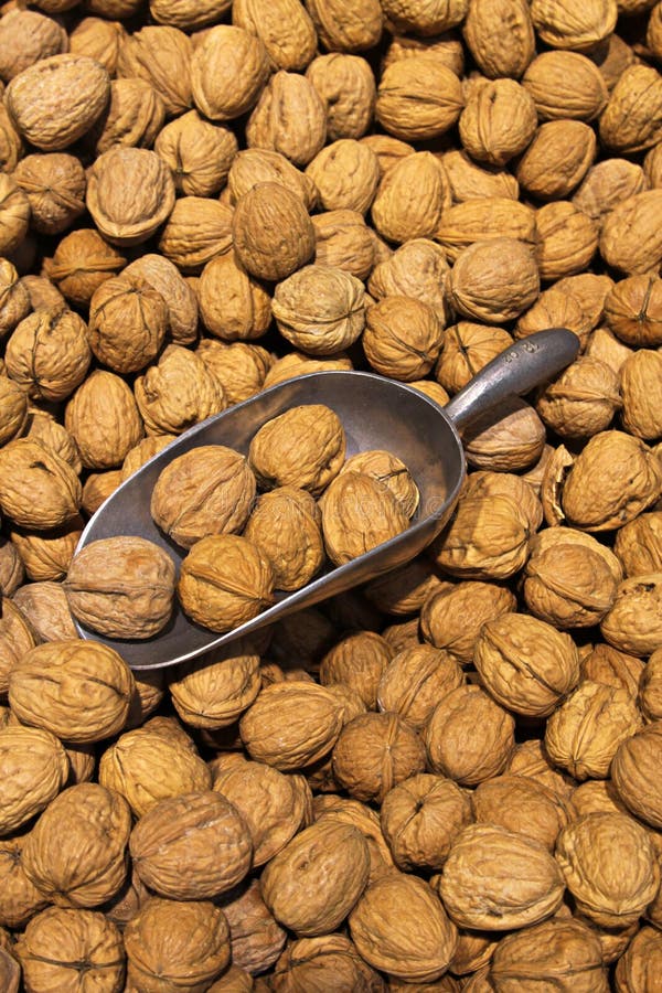 Healthy omega-3 walnuts stock image. Image of food, walnuts - 35682769