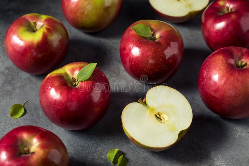 Healthy Organic Mcintosh Apples Stock Photo - Image of healthy, fruit ...
