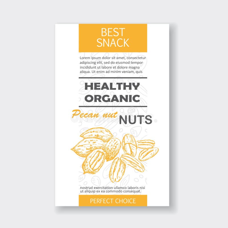 Healthy Organic Pecan Nut Vertical Label. Vector Stock Vector ...