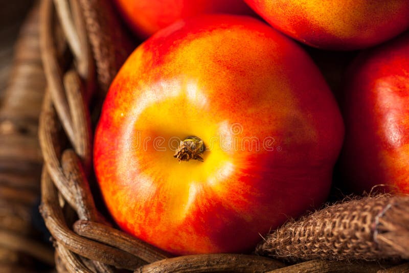 Healthy Organic Raw Ripe Nectarines Stock Image - Image of fresh, group ...