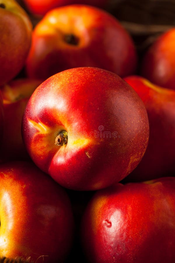 Healthy Organic Raw Ripe Nectarines Stock Image - Image of juicy ...