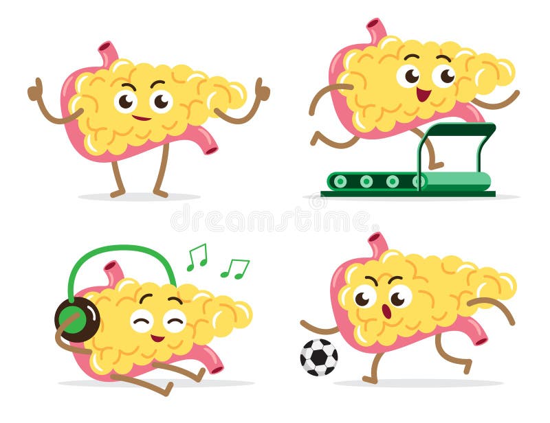 Cartoon Pancreas Stock Illustrations – 2,367 Cartoon Pancreas Stock ...