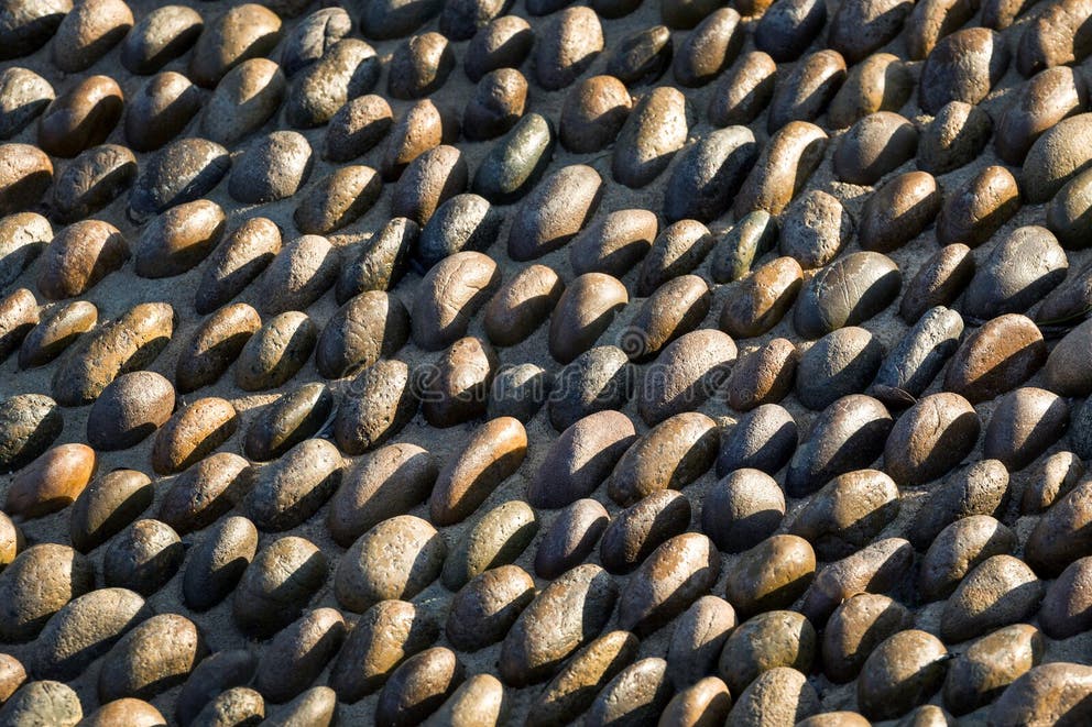 Healthy Pebble Stone Floor. Stock Image - Image of seeds, floor: 287220249