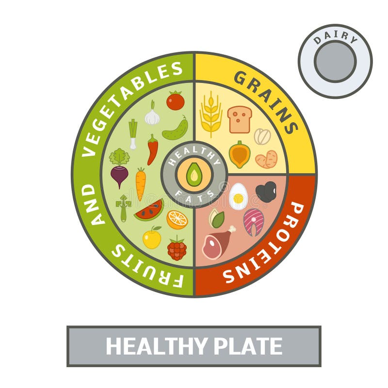 Healthy Plate Stock Illustrations – 566,295 Healthy Plate Stock ...