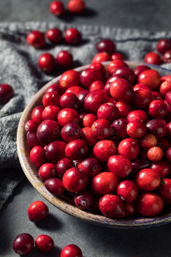 Healthy Red Organic Cranberries Stock Image - Image of sweet, vitamin ...