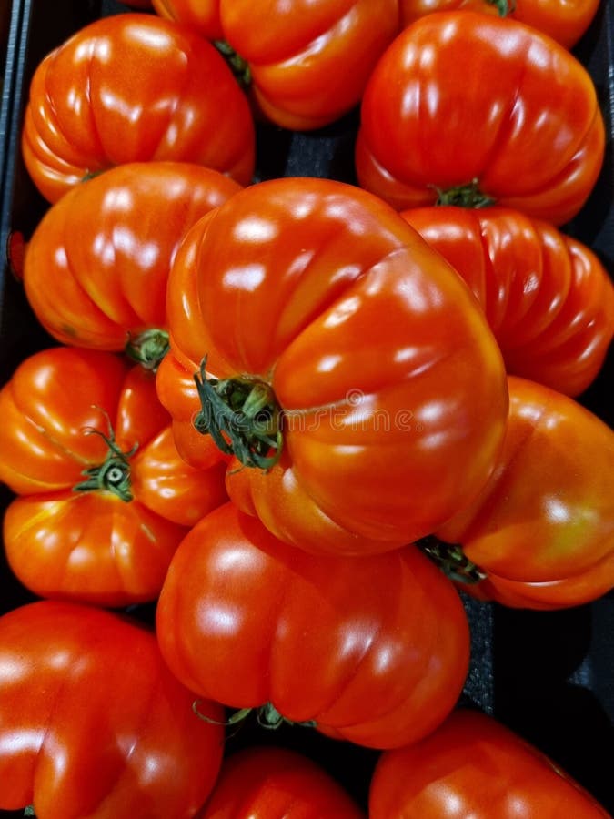 Healthy Red Tomatoes stock image. Image of produce, tomatoes - 277721997