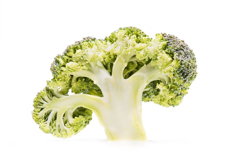 Healthy Ripe Broccoli Branch Stock Photo - Image of broccoli, branch ...