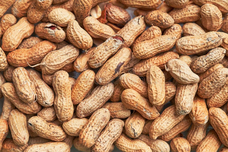 Healthy Roasted Unpeeled Peanuts Stock Image - Image of unpeeled ...