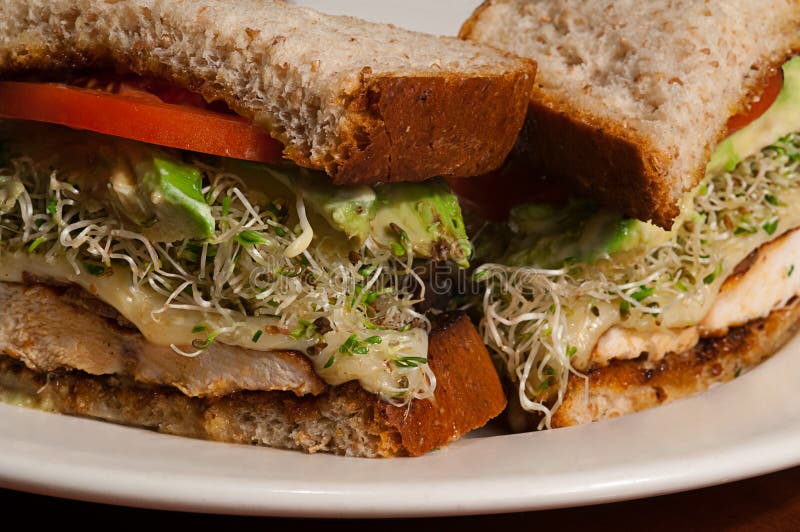 Healthy Sandwitch Close Up stock image. Image of healthy - 12884111