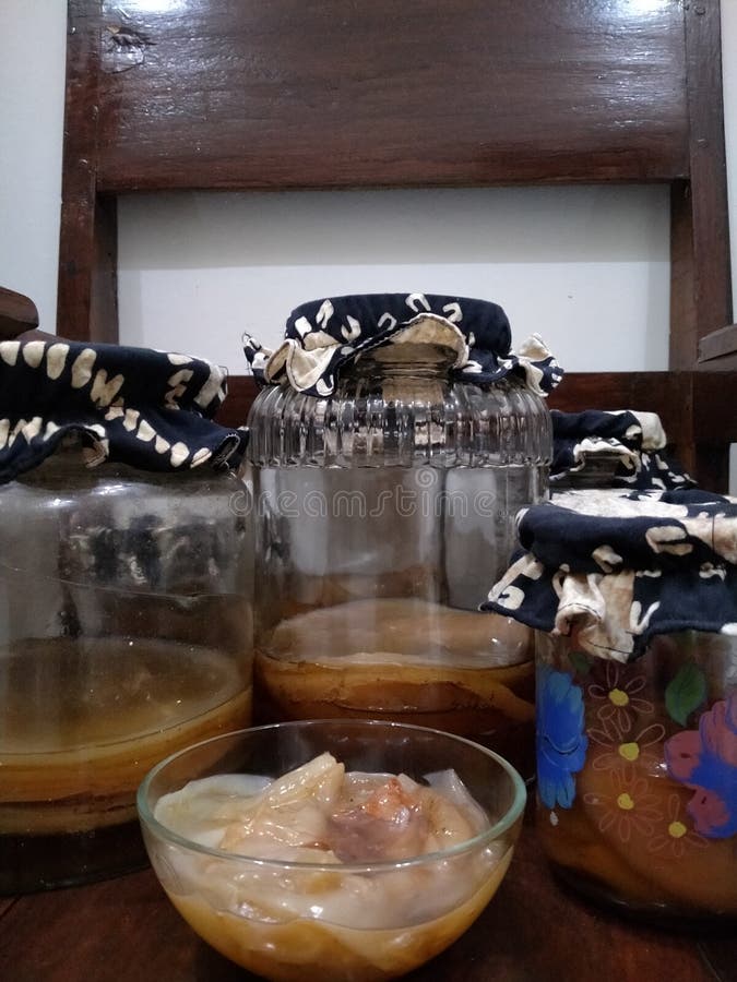 Healthy Scooby Will Be Useful Kombucha Tea Stock Image - Image of ...