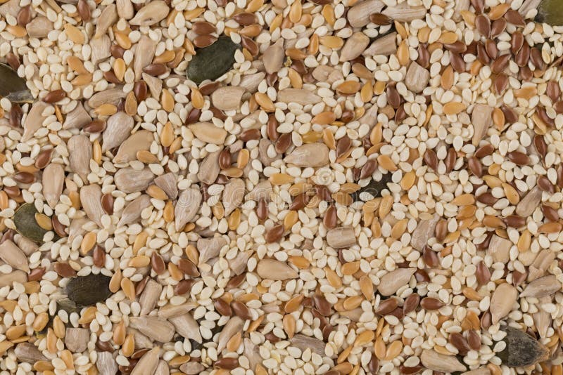 Healthy seeds mix stock photo. Image of protein, carbohydrate - 68941090