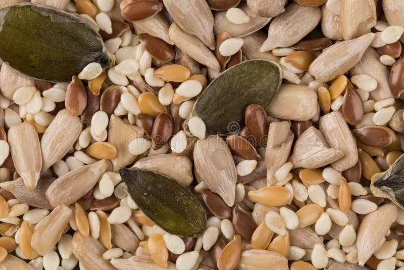 Healthy seeds mix stock image. Image of nutritious, nutrient - 69659857