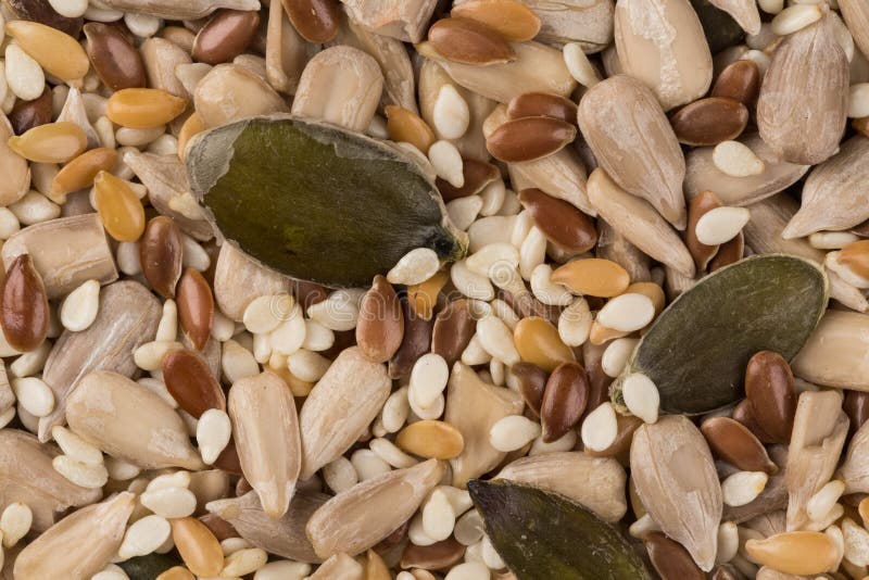 Healthy seeds mix stock image. Image of acids, protein - 70750957