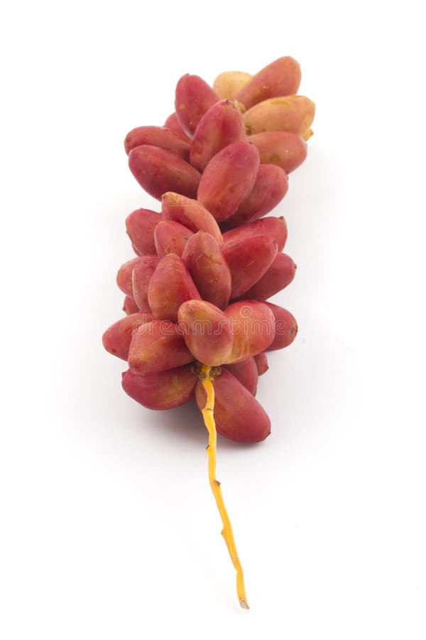 Red Dates stock photo. Image of eating, refreshment - 104354870