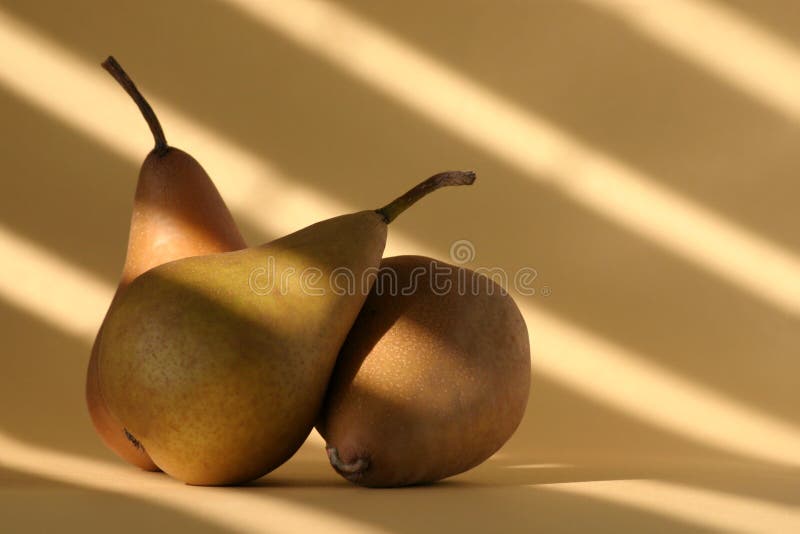 Healthy Tan stock photo. Image of fine, diagonal, pears - 387990