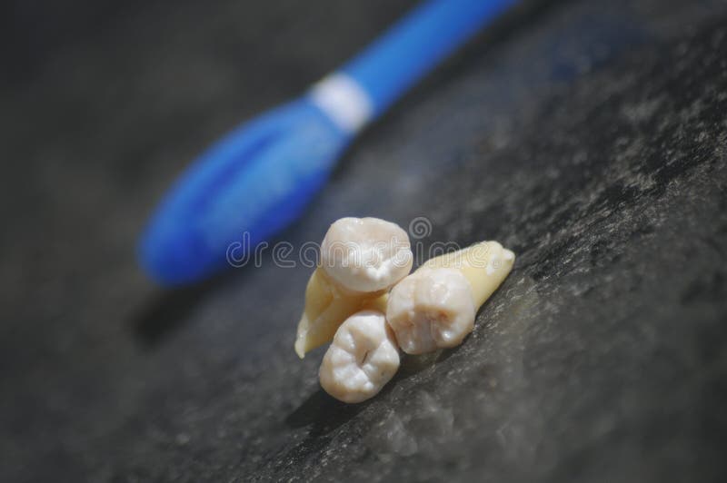 Healthy Teeth on Grey Background Stock Photo - Image of canal, backdrop ...
