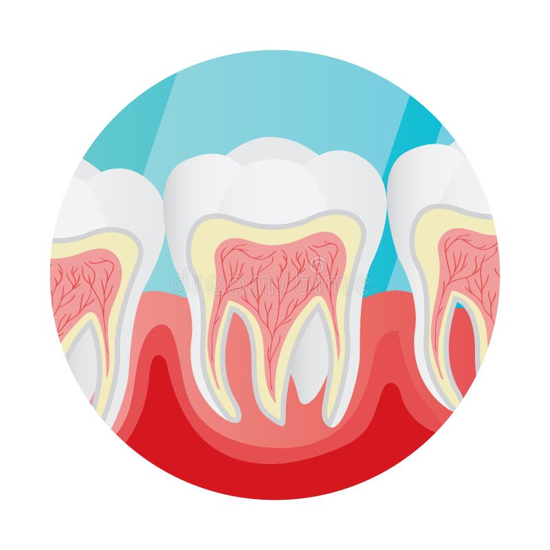Healthy Teeth. Vector Illustration Decorative Design Stock Vector ...