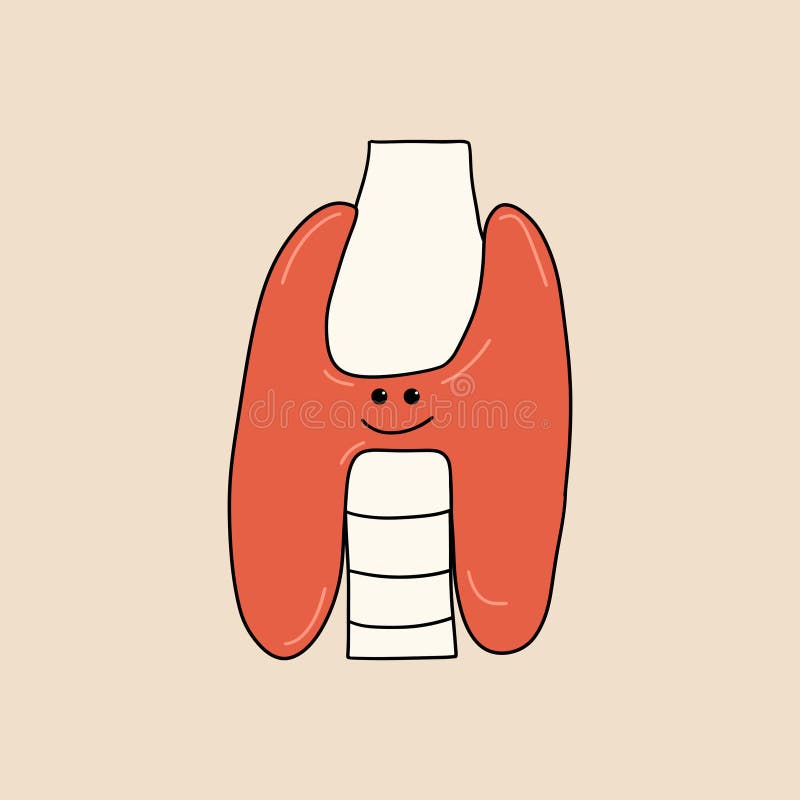 Healthy Thyroid. Human Organ in Cartoon Style Stock Vector ...