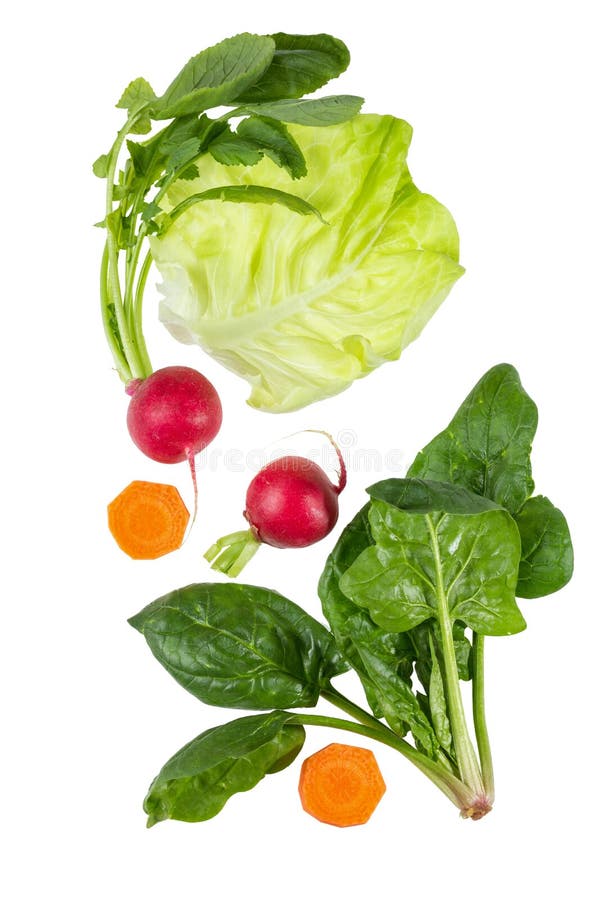 Isolated vegetables stock photo. Image of gastronomy, vegetarian - 6241134