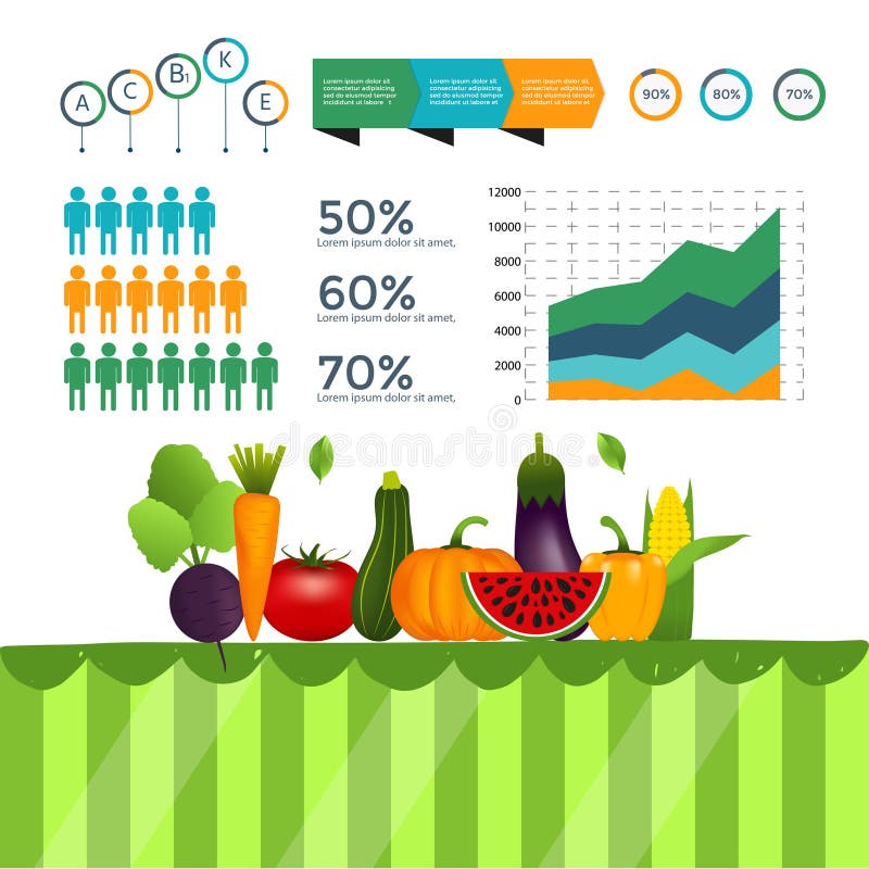 Healthy Vegetables Infographics with Chart and Graph Stock Illustration ...
