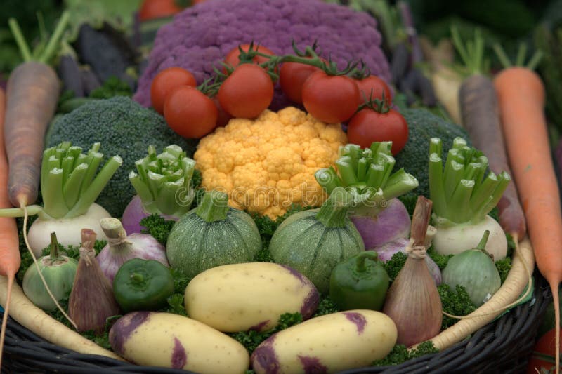 Healthy Vegetables Selection Stock Image - Image of country, green ...