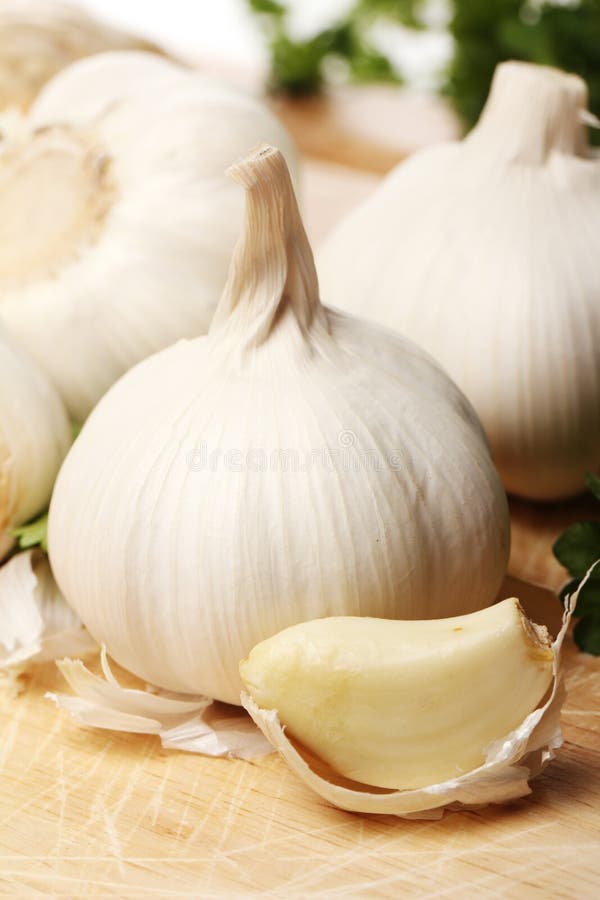 Garlic pods stock photo. Image of organic, nutrition - 17608964