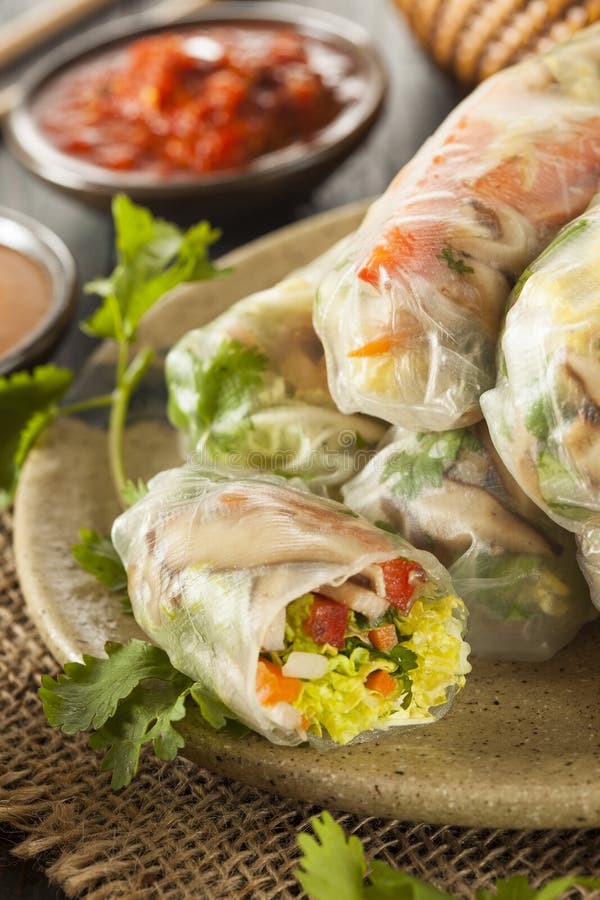 Healthy Vegetarian Spring Rolls Stock Image - Image of rolls, rice ...