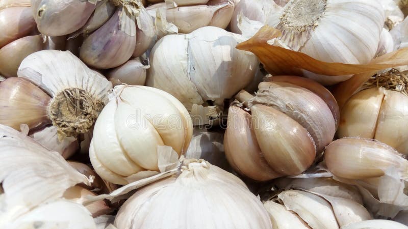 Healthy White Garlic in Market Stock Photo - Image of diet, healthy ...