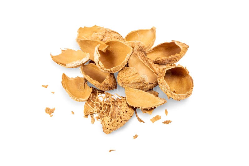 Almond Shells Heaped and Dried in Soft Light Stock Image - Image of ...