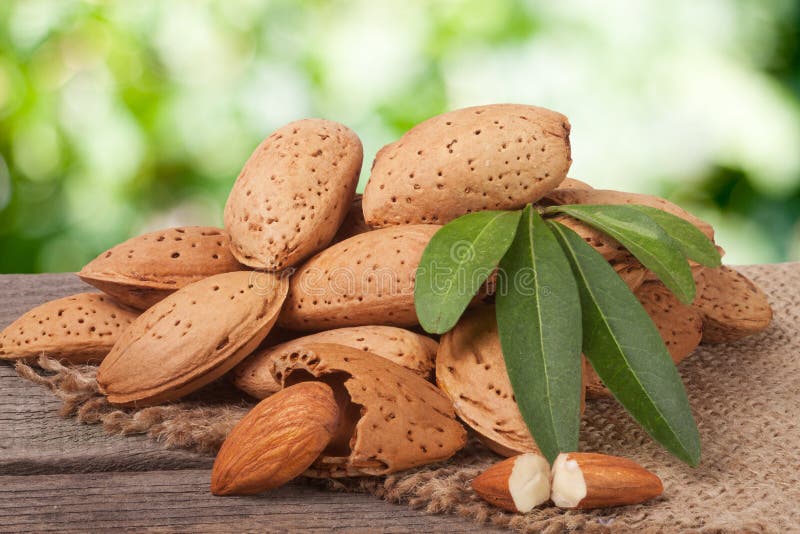Almonds in Their Skins and Peeled with Leaf Isolated on White ...