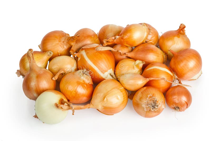 Onions stock photo. Image of heap, fresh, food, vegetable - 21382806