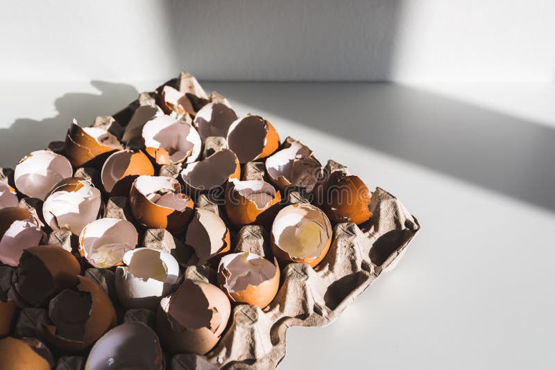 Empty eggshell stock image. Image of diet, farm, easter - 13135085