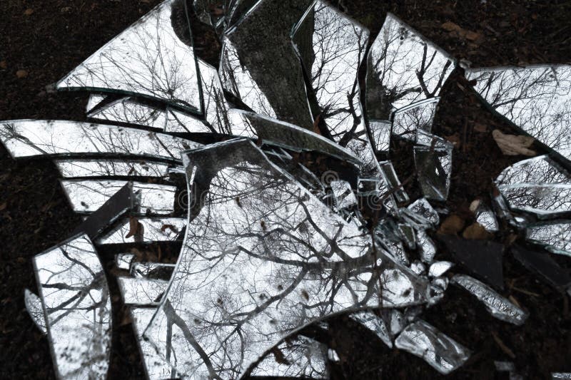 Heap of Broken Reflecting Glasses on Ground Under Trees in Daylight ...