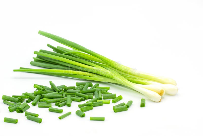 Chopped Spring Onion In Bowl Stock Image - Image of herb, white: 35788795