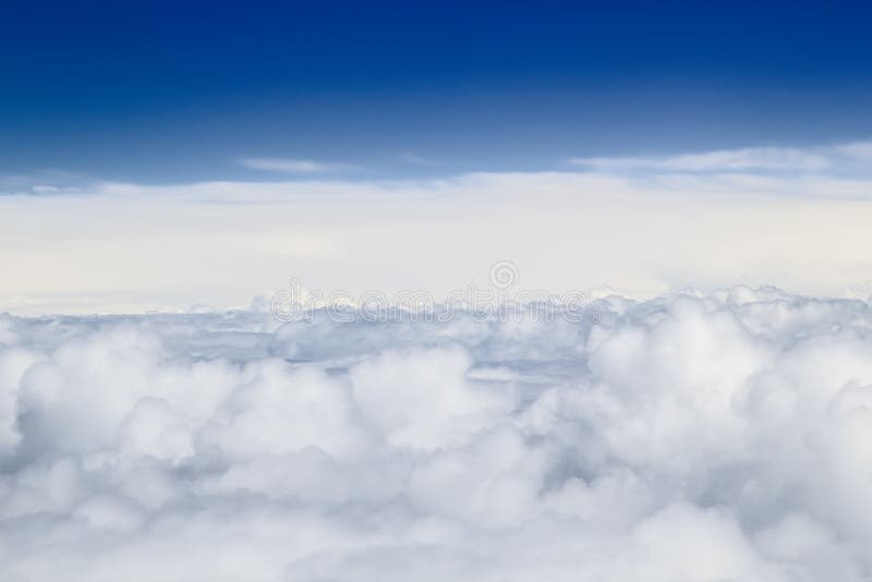 Texture or Background of Leaves Stock Photo - Image of textures ...